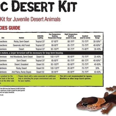 Zilla leopard gecko habitat | leopard gecko enclosure | setup | tank